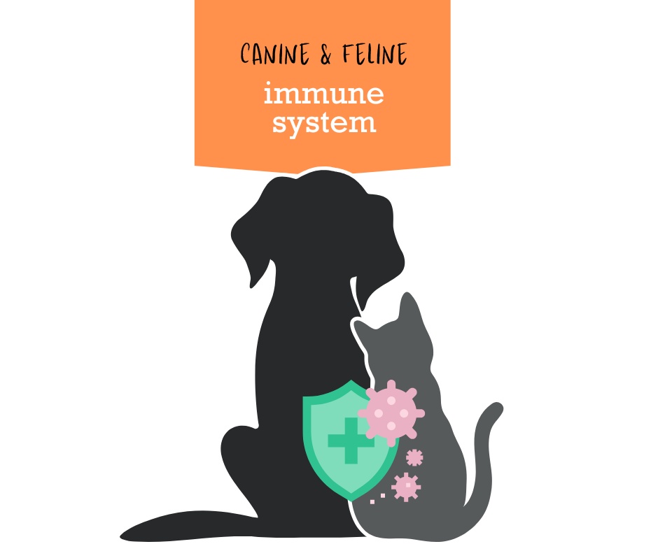 The canine and feline immune system - Radiokop Animal Clinic